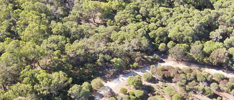 Pinnaroo Valley Memorial Park | Bowra & O'Dea