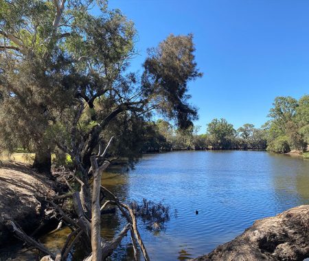 Pinnaroo Valley Memorial Park | Bowra & O'Dea